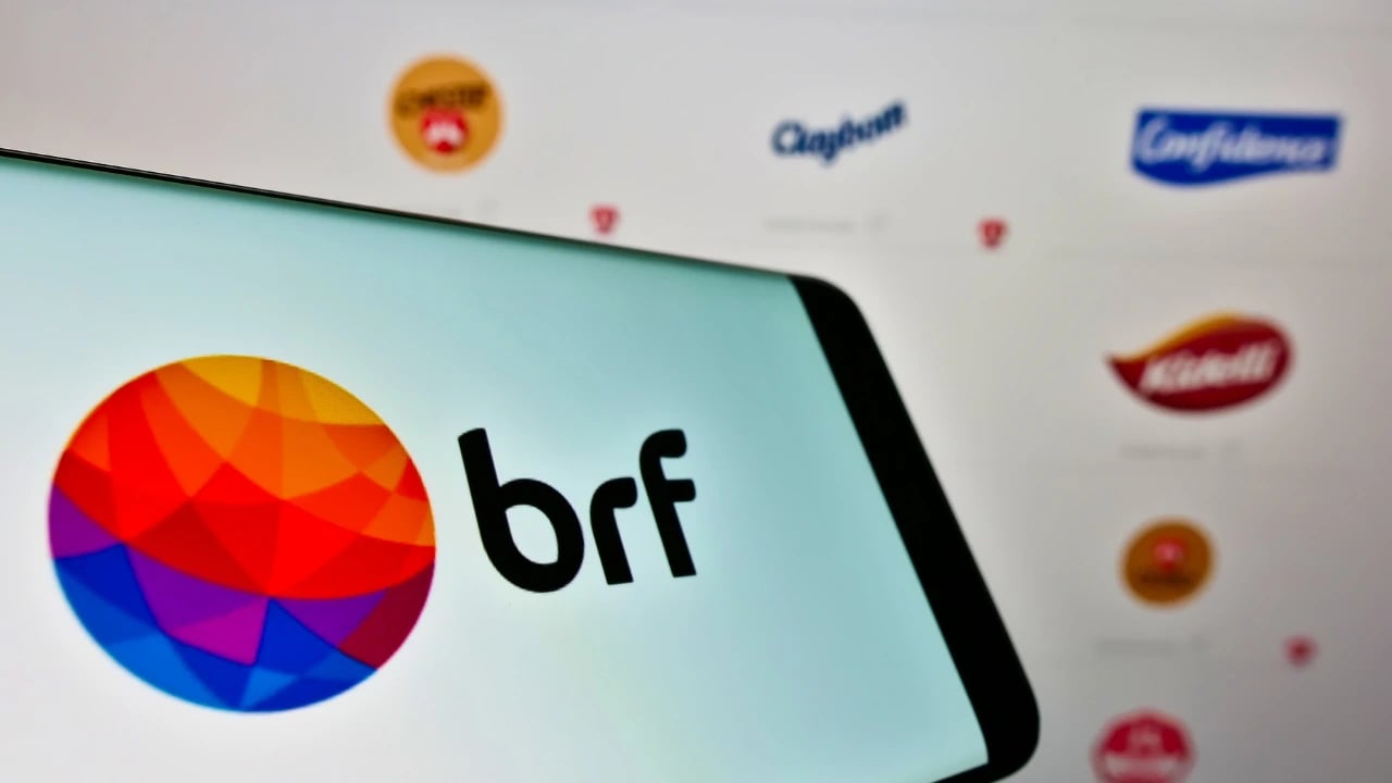 Lucro da BRF (BRFS3) sobe +15% no 4T24