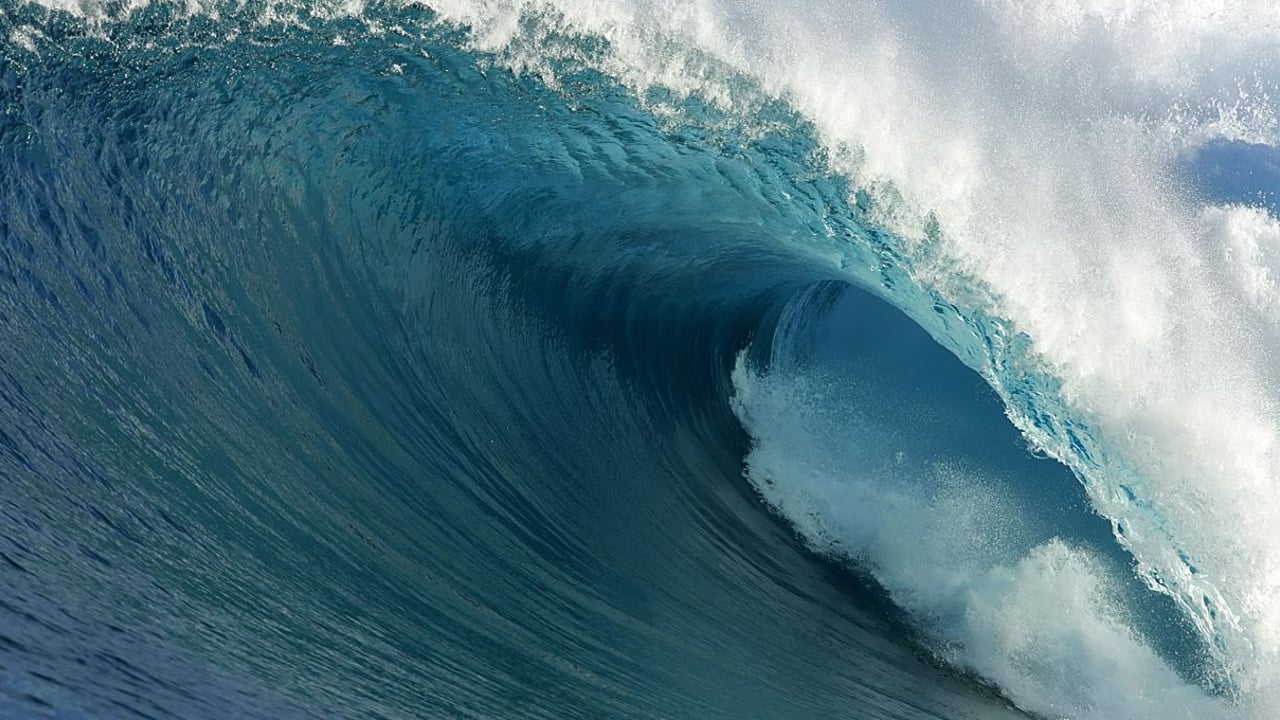 Olha a onda, olha a onda!