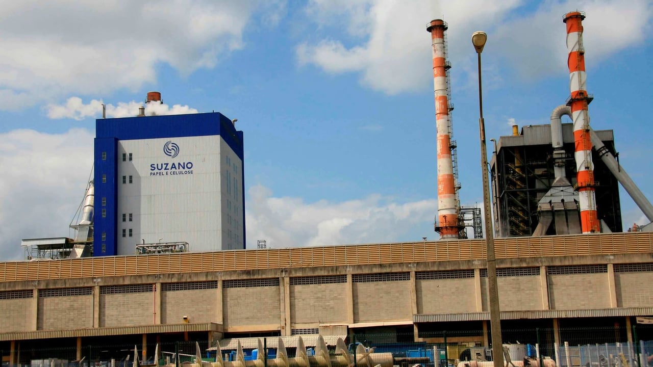Lucro líquido da Suzano (SUZB3) é quase 50% menor no 1º tri de 2023