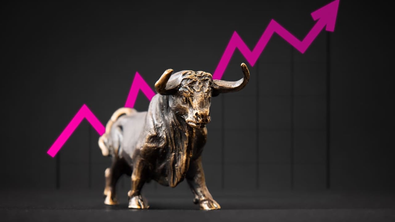 O que é Bull Market e como impacta os investimentos? | Nord News